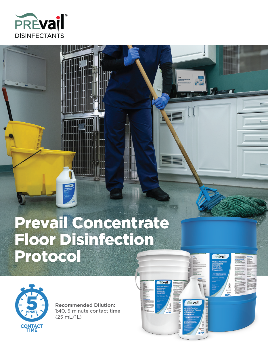 How to Disinfect Floors with Prevail Concentrate - Prevail Disinfectants